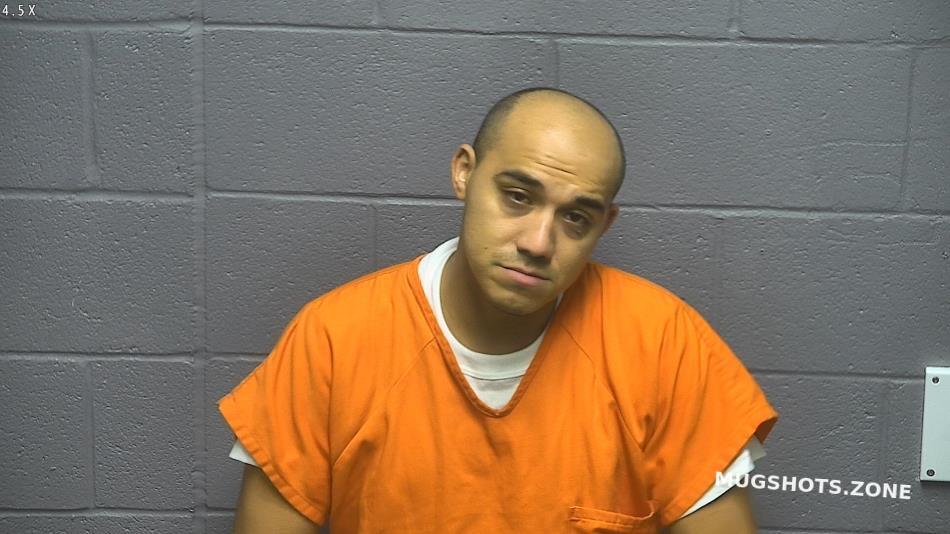 RIGGLEMAN DAVID ALBERTO N/A 09/18/2024 - RSW Regional Jail Mugshots Zone