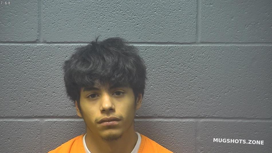 ROLES XAVIER CORTEZ N/A 10/25/2024 - RSW Regional Jail Mugshots Zone