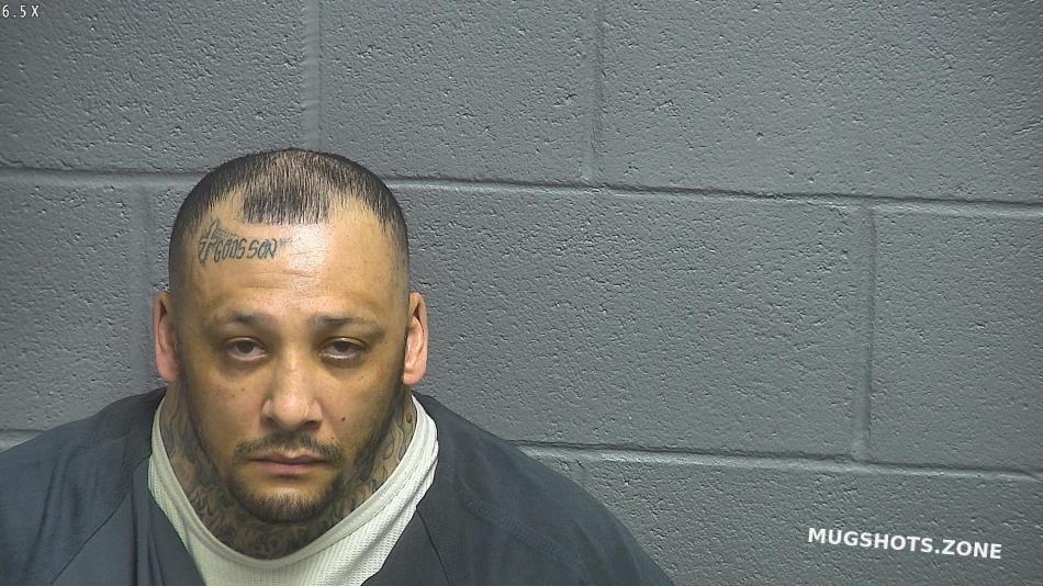 MARTIN BRIAN THOMAS N/A 11/15/2024 - RSW Regional Jail Mugshots Zone