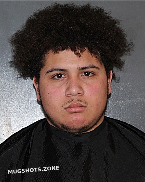 CARCAMO-ARTEGA EDEL DAVID 03/05/2025 - Rusk County Mugshots Zone