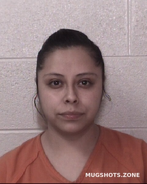 CASTILLO-GONZALEZ ESTEFANI 05/17/2022 - Rutherford County Mugshots Zone