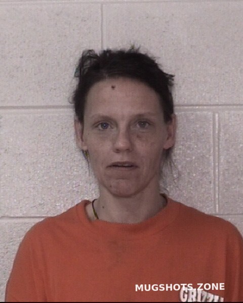 GUINN JESSICA DENISE 11/06/2022 - Rutherford County Mugshots Zone