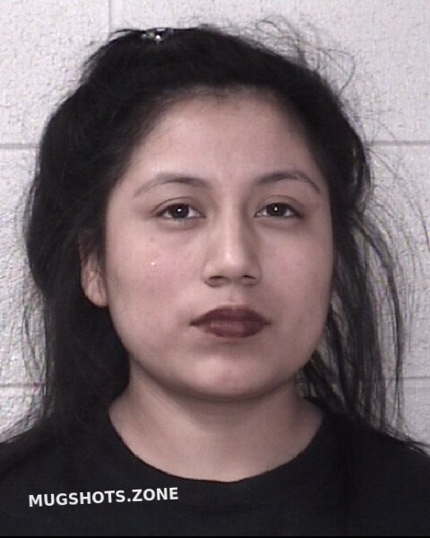 Garcia Jimenez Ana Gabriela 03242023 Rutherford County Mugshots Zone