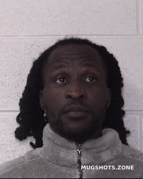 ALI-ELNOUR EILYA ANTONI 12/11/2023 - Rutherford County Mugshots Zone
