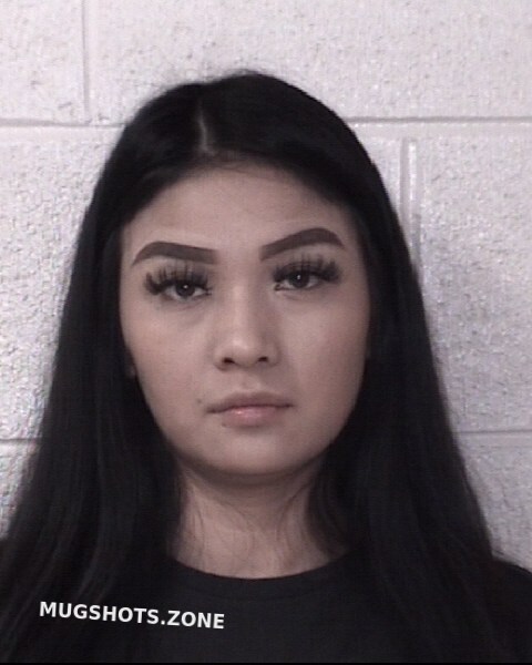 NOSAVANH ASIA C 02/22/2024 - Rutherford County Mugshots Zone