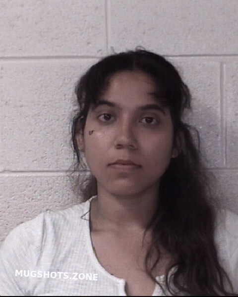 CASTILLO BRIANA A 07/06/2024 - Rutherford County Mugshots Zone