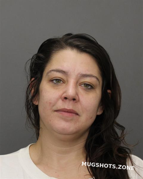 VANDEVENTER ERICA N 12/31/2024 - Salem County Mugshots Zone