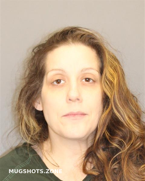 SCHOOLS AMANDA A 02/03/2025 - Salem County Mugshots Zone