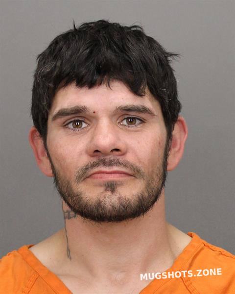 WATKINS MICHAEL R 03/04/2025 - Salem County Mugshots Zone