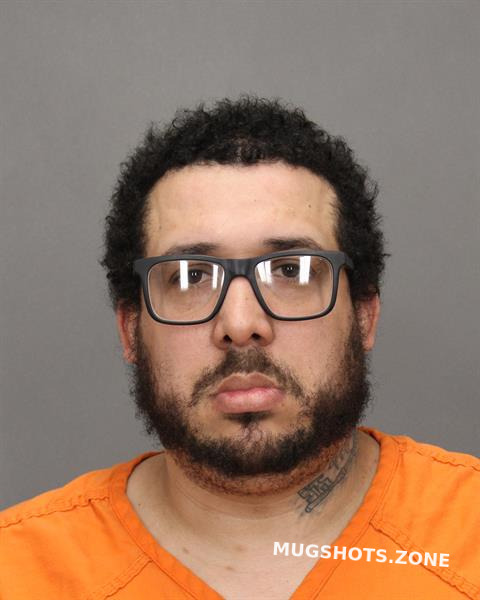 SANTOS SAMUEL 03/18/2025 - Salem County Mugshots Zone