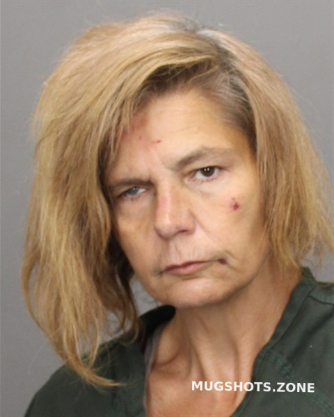 WELLS TINA M 08/11/2025 - Salem County Mugshots Zone