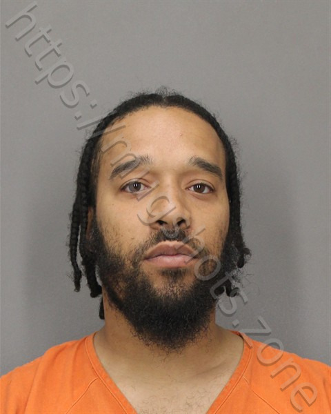 WILLIAMS RONNELL L 03/20/2026 - Salem County Mugshots Zone
