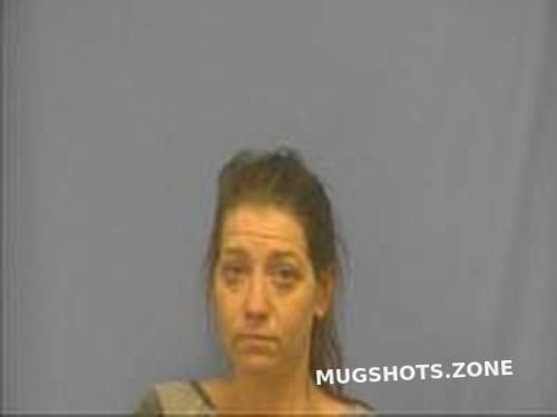ELIZABETH CHADWELL 02/15/2022 - Saline County Mugshots Zone