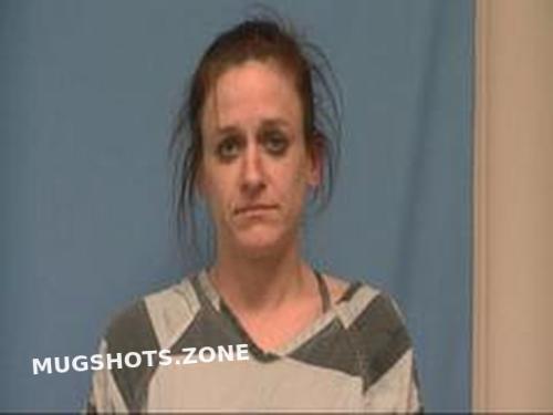 JENNIFER SIKES 04/06/2023 - Saline County Mugshots Zone