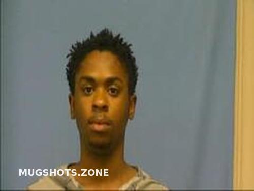 KERI HICKEY 06/30/2023 - Saline County Mugshots Zone