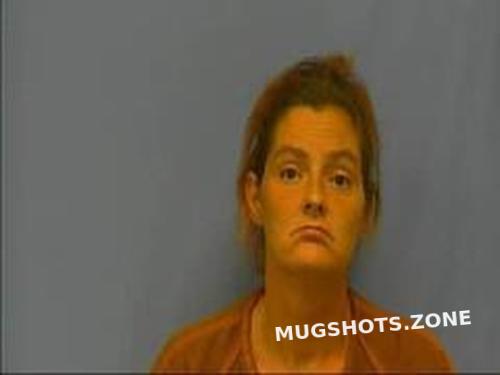 MANDY STINSON 09/15/2023 - Saline County Mugshots Zone