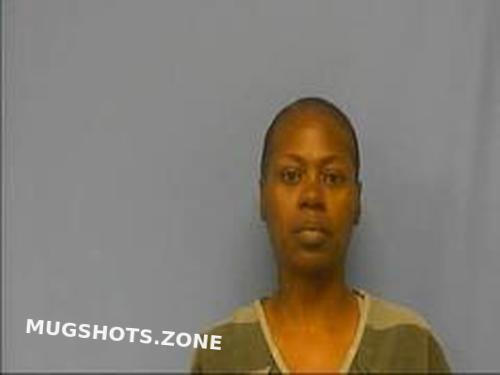 ERICA SIMS 03/19/2024 - Saline County Mugshots Zone