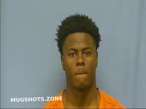 DAVION WILLIAMS 06/13/2024 - Saline County Mugshots Zone