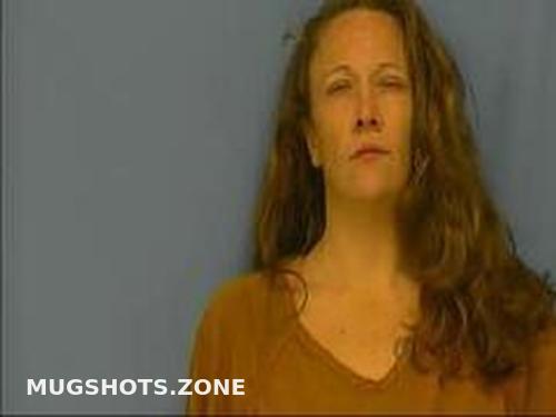 ERICA MCNEELY 08/11/2024 - Saline County Mugshots Zone