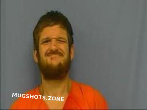 TAYLOR COMBS 08/11/2024 - Saline County Mugshots Zone