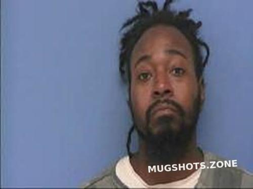 NICHOLAS MINOR 08/16/2024 - Saline County Mugshots Zone