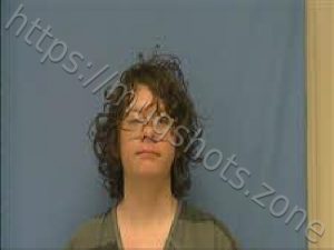 HAMMER RICHARD 05/19/2026 - Saline County Mugshots Zone