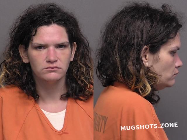 BURKE JESSICA LYNN 06/08/2022 - Saline County Mugshots Zone