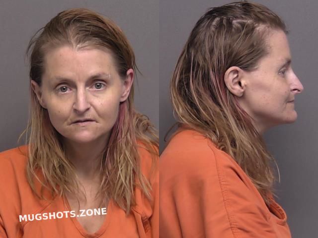 ELDER ANGELA LYNN 08/10/2022 - Saline County Mugshots Zone