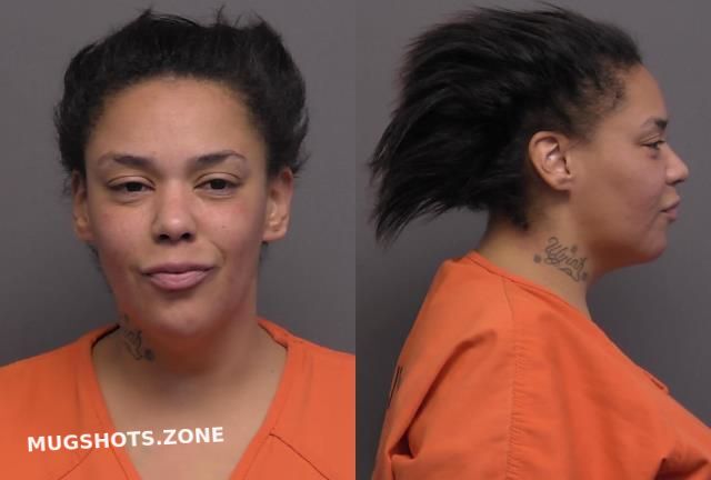 CAMESE BREANNA RACHELLE 11/24/2022 - Saline County Mugshots Zone