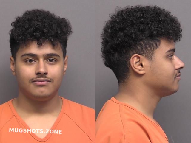 ALAHDAL FAYSAL ALHOSAIN 12/03/2022 - Saline County Mugshots Zone