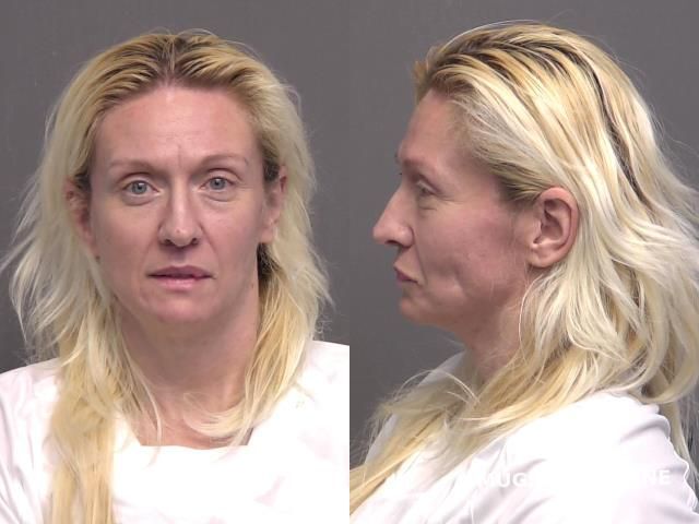 FELDMAN TONYA MARIE 03/13/2023 - Saline County Mugshots Zone