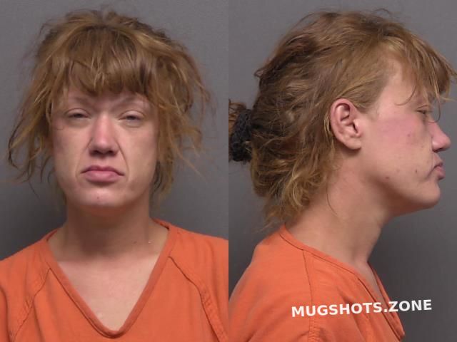SHERRER ASHLEY MARIE 08/31/2023 - Saline County Mugshots Zone