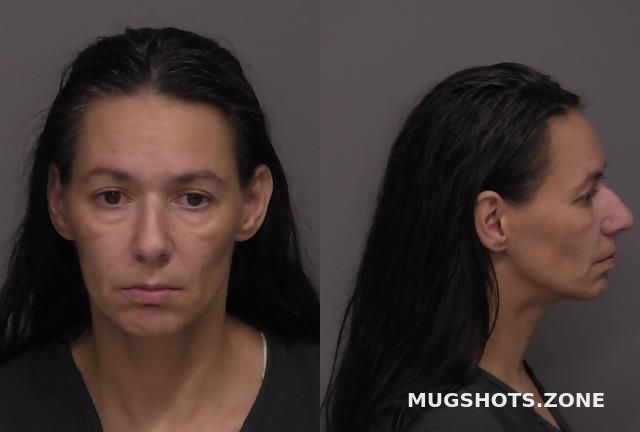 FORICHETTE BRENDA LEE 01/08/2024 - Saline County Mugshots Zone