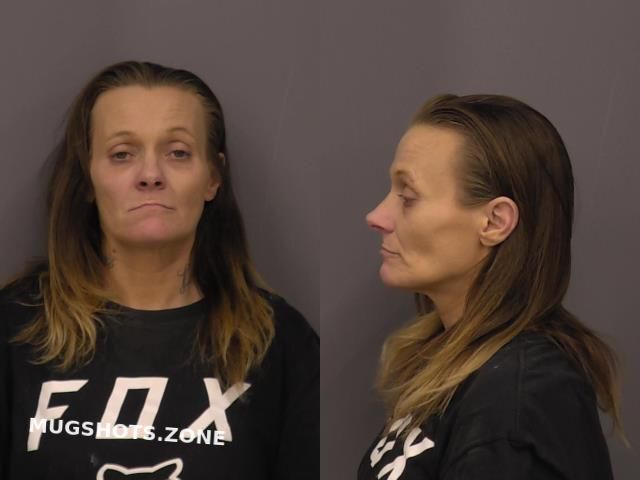 Goldsmith Mills Dawn Marie 02 17 2024 Saline County Mugshots Zone