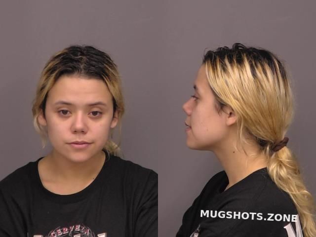 DIMAPLAS EMILEE DAWN 03/24/2024 - Saline County Mugshots Zone