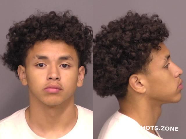 RILEY ALEX PATRICK 05/30/2024 - Saline County Mugshots Zone