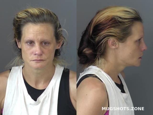 HILL CRYSTAL DAWN 06/27/2024 - Saline County Mugshots Zone