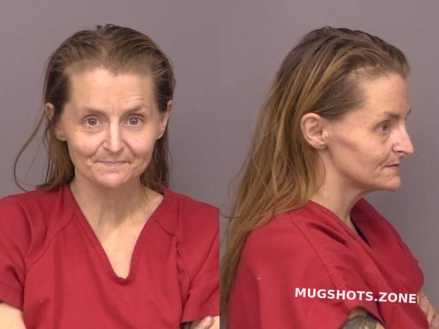 ELDER ANGELA LYNN 12/20/2024 - Saline County Mugshots Zone