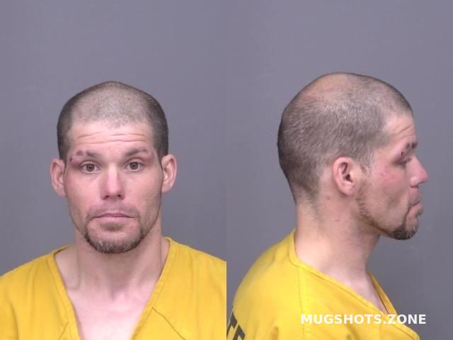 ZELFER TROY MICHAEL 12/29/2024 - Saline County Mugshots Zone
