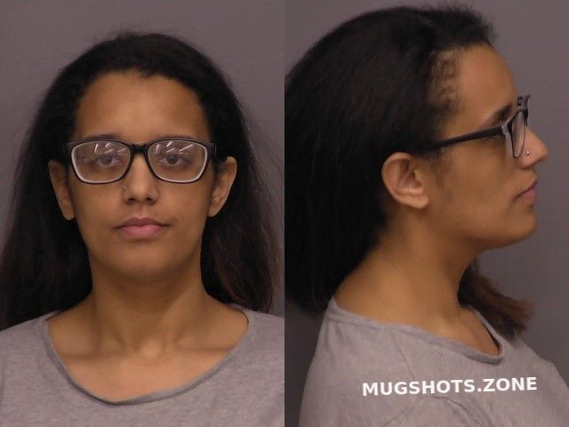 BEAN MEAGAN NICOLE 04/11/2025 - Saline County Mugshots Zone