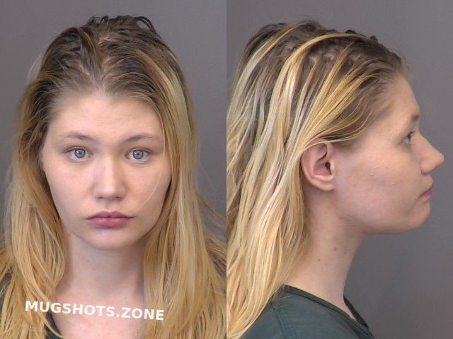 ANNIS JESSICA NICOLE 04/15/2025 - Saline County Mugshots Zone