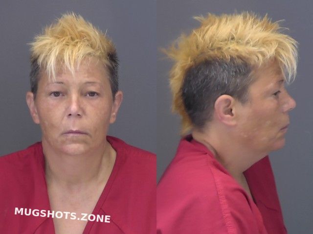MIDDLE ELIZABETH RENE 06/22/2025 - Saline County Mugshots Zone