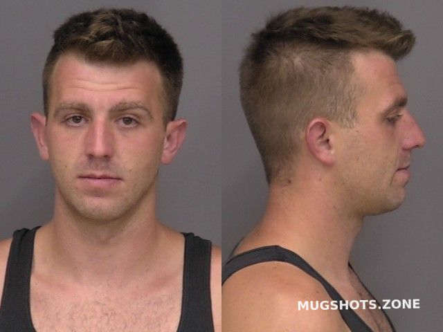 SONNIER DILLON ADAM 07/20/2025 - Saline County Mugshots Zone