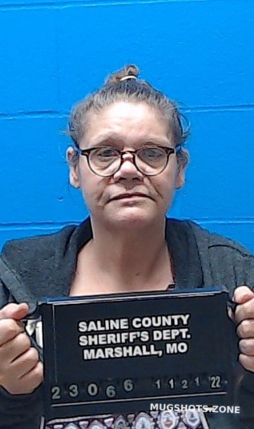 TUBBS MICHELLE ANN 11/21/2022 - Saline County Mugshots Zone