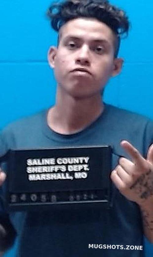 GONZALEZ PORTILLO RANDY ESTELVER 08/24/2024 - Saline County Mugshots Zone
