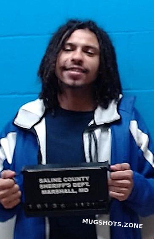 WHITE DONAVAN RAY 11/21/2024 - Saline County Mugshots Zone