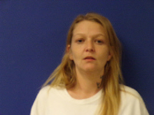 GODBOLD SUE ELLEN 02/10/2021 - Sampson County Mugshots Zone