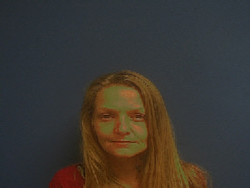 GODBOLD- JONES SUE ELLEN 02/10/2021 - Sampson County Mugshots Zone