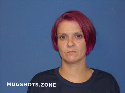 SISSON DANIELLE MARIE 11/03/2021 - Sampson County Mugshots Zone