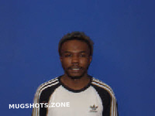 MCNEIL CHRISTOPHER RAY 12/20/2023 - Sampson County Mugshots Zone